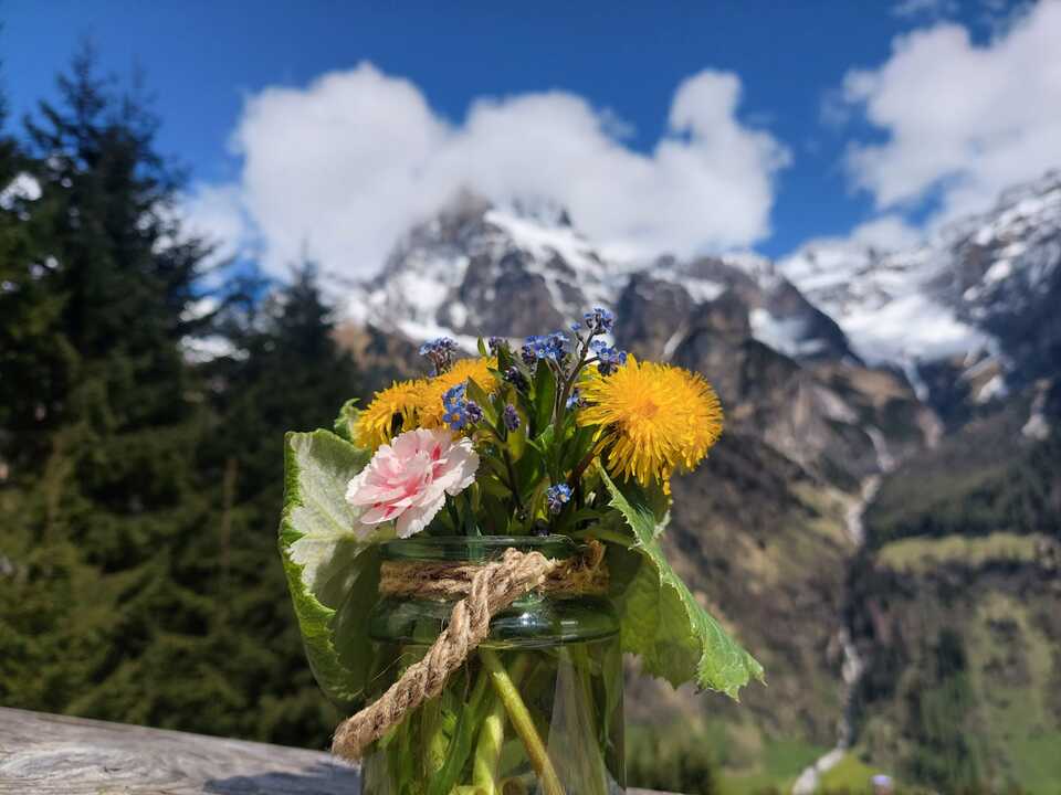 Berg & Blume – Südtirol News