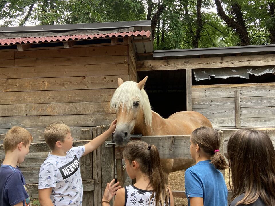 Ausreichend Plätze bei der Sommerbetreuung in Nals – Südtirol News