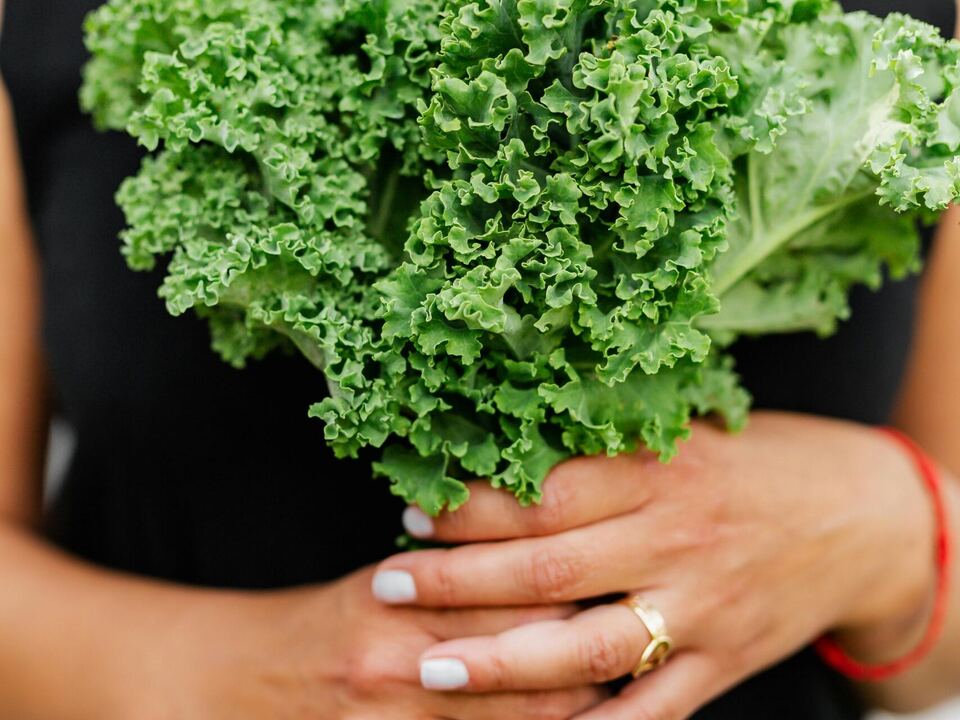 Blattkohl ist das Gemüse des Jahres – Südtirol News